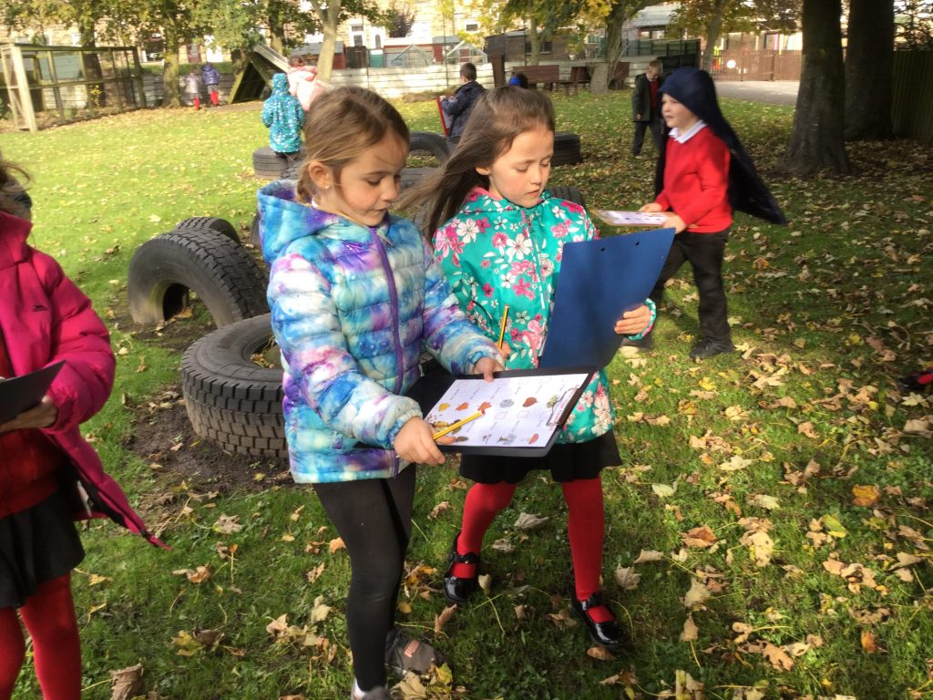 Curriculum Enrichment - Cockfield Primary School